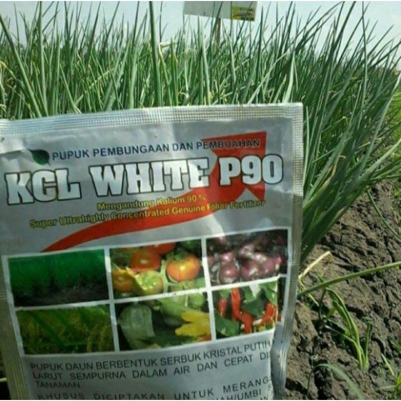 10 Rekomendasi Pupuk KCL Terbaik 2025